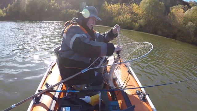 Ковид подвёл ГАД, Последняя в этом сезоне рыбалка(((