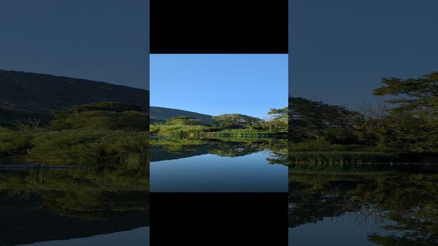 Река Пшада, зеркальная вода, вид на горные вершины, нереальная красота! Птицы поют, звуки природы🌿