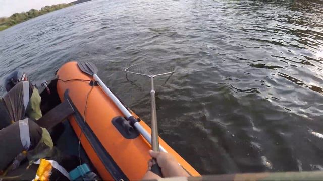 Отличный окунище для нашей местности