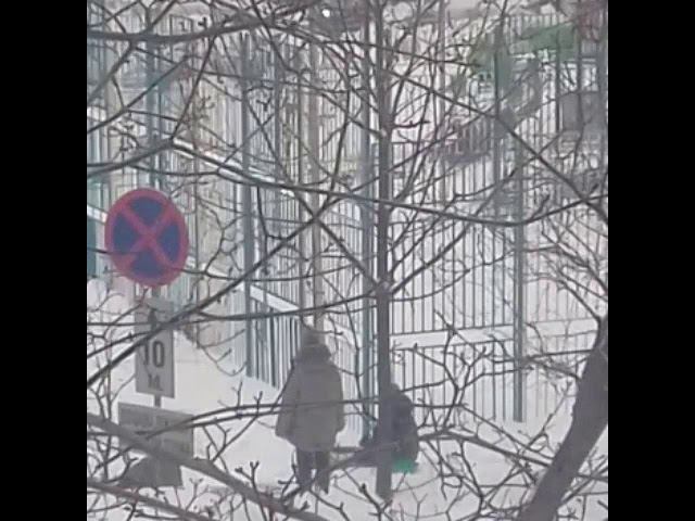 Money. Pink Floyd harmonica cover #stratocastro #harmonica #harp #губнаягармошка #shorts