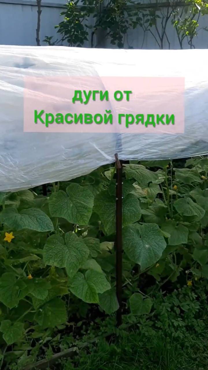 Ваши отзывы на дуги для грядок