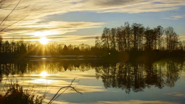 SHOXRUX & SEMA - SO'NGIBORA 2024 | ШОХРУХ & СЭМА - СЎНГИБОРА 2024 | REMIX by XonSaroy Prod