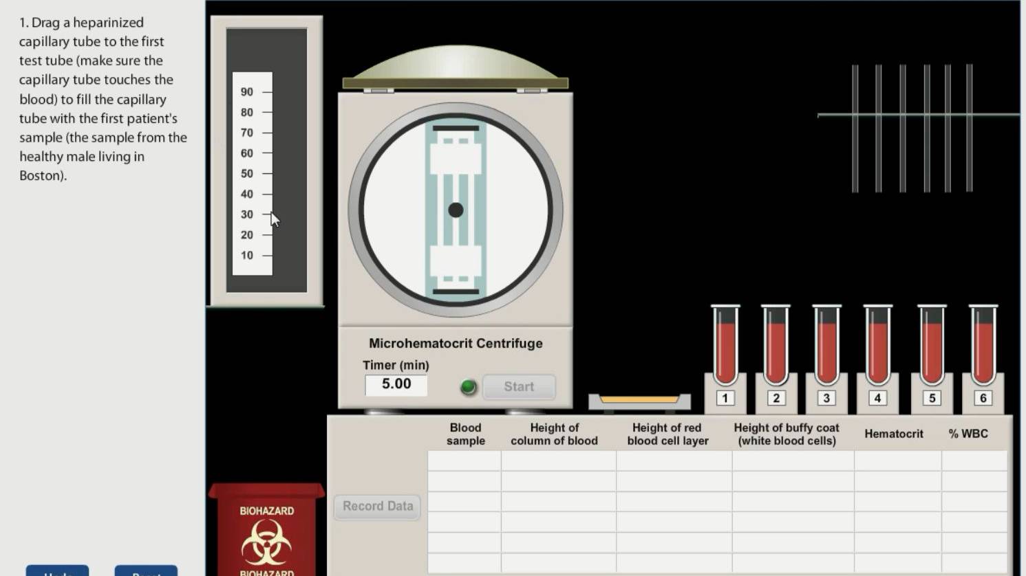 Определение гематокрита. 3 семестр. Тема 2. Работа 1