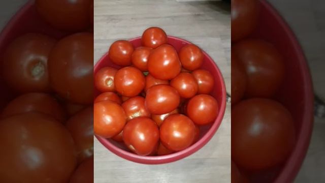 Помидоры 😁