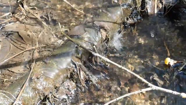 Медитация, быстрый отдых, звуки весеннего ручья, природы Meditation to the sounds of a spring stream