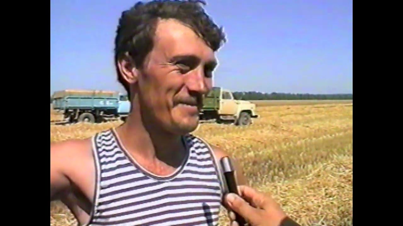 Кулешовка Жатва-94