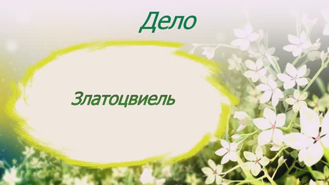 Дело Златоцвиель