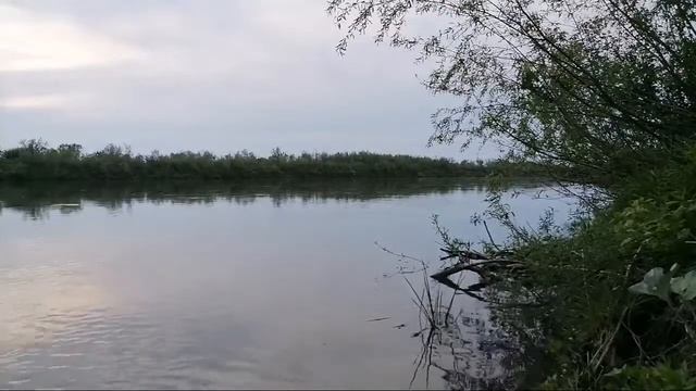 Звуки Природы. Река, пение птиц. Медитация и расслабление. Videos for relaxation. Meditation videos