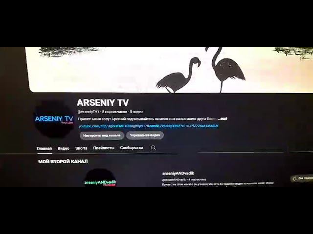 НА МОЁМ КАНАЛЕ 5 ПОДПИСЧИКОВ, А ТАКЖЕ 15 ПОДПИСЧИКОВ У МОЕГО ДРУГА