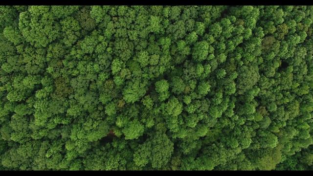 (Frank Duval) the best Hits of Relax music. Enjoy it.