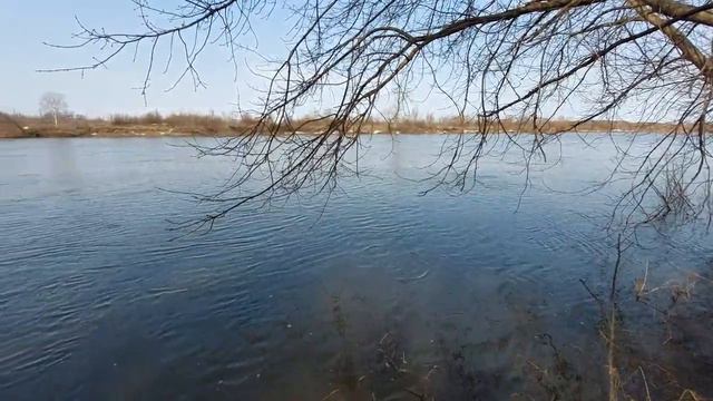 Миниполоводье на реке Суре-2024!