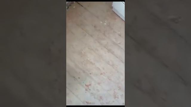 Как убрать скрипы деревянного пола [все способы в одном видео].