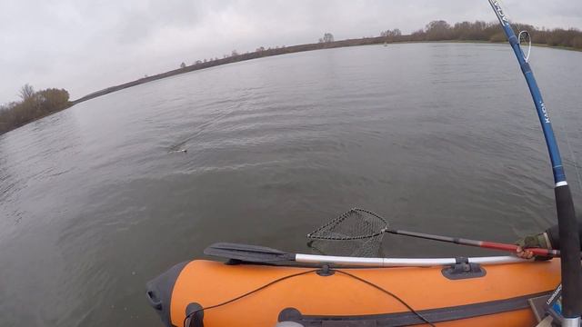 Ока,троллинг с руки(дорожка).Странно, ноябрь и клюёт мелкая щучка.