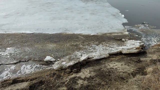 Ледоход на реке Суре-2024! Ice drift on the Sura River-2024