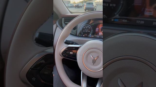 Как работает и управляет автопилот на Voyah Free.