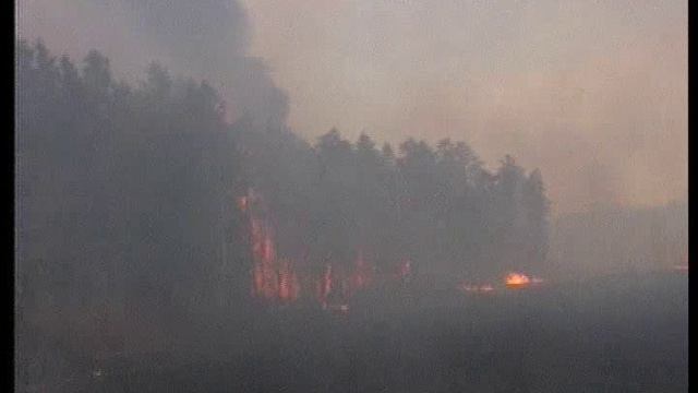 Лесные пожары
