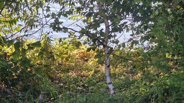 Алтай_Змеиногорск