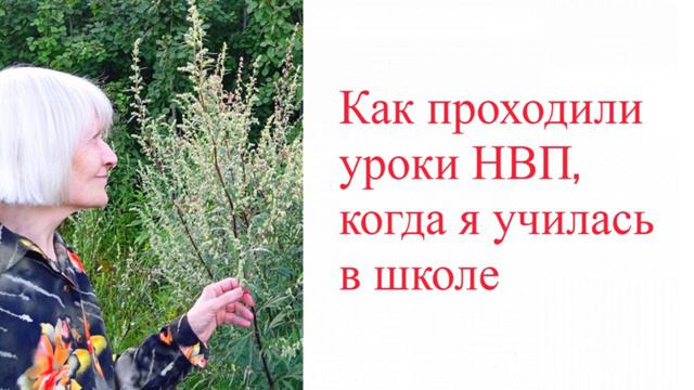 Как проходили уроки НВП, когда я училась в школе