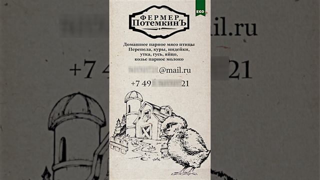 Реклама на стендах-5 / контент для видеостендов