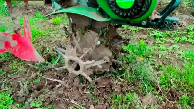 культиватор ёж вместо колёс(окучивание картофеля)