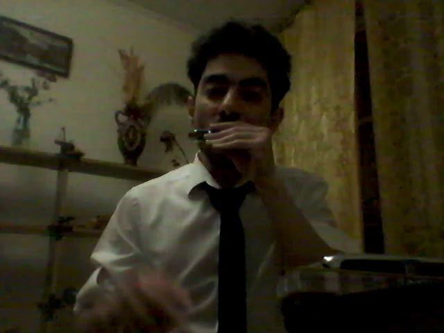 Sharp Harp. Champion Jack Dupree  cover #stratocastro #harmonica #harp #губнаягармошка