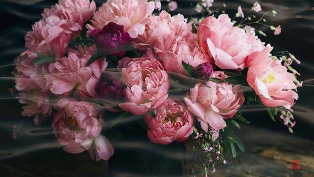 Лучше без обеда, чем без обедни