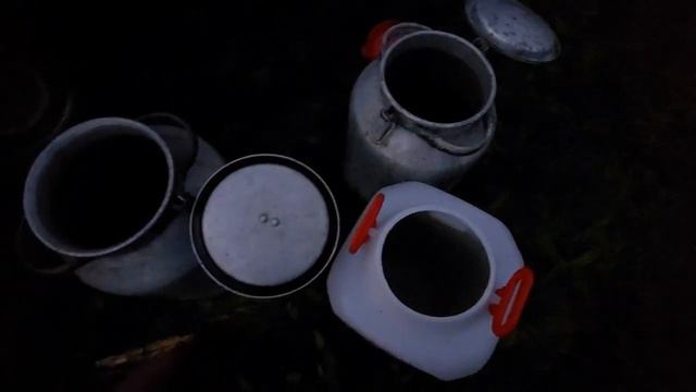 Зарыбляем пруд, запускаем карпов! Жизнь на природе