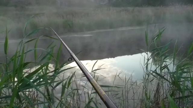 Клёвая рыбалка на карася 9 июня