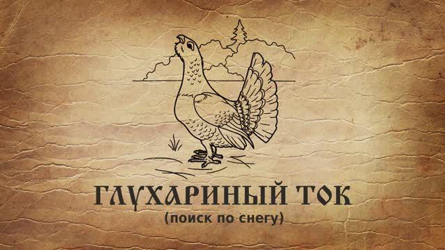 Глухариный ток