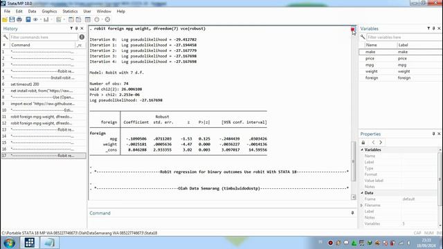 npmlt In R Software And imperfectiv In STATA 18