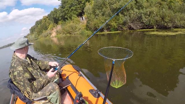 Небольшой судачок.