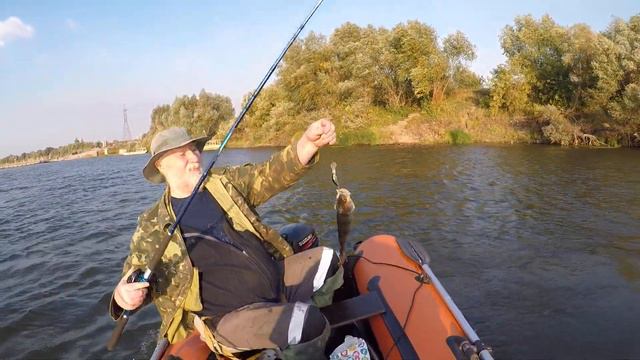 Продолжение осенних рыбалок окуни атакуют