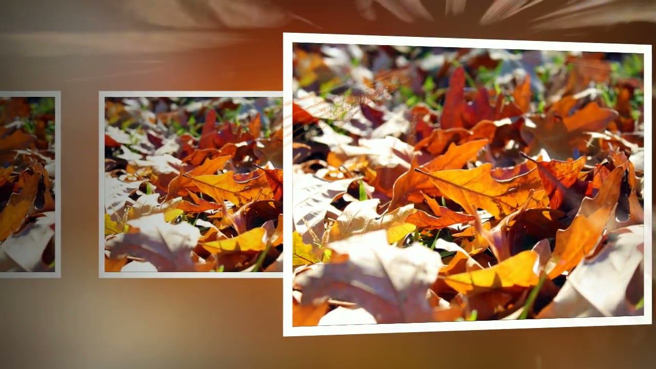 Вот он, Сентябрь   Падают листья