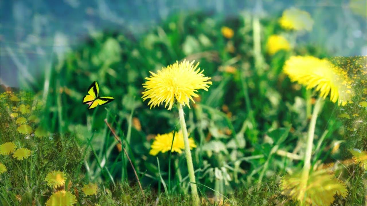 Счастье в мелочах