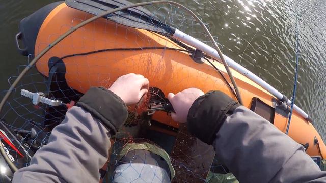 Ока, троллинг с руки(дорожка).Попалась отличная щука но вся покусанная кем то огромным.