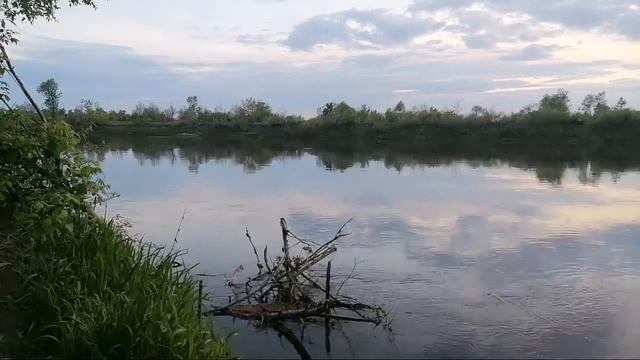 Звуки Природы. Река Сура. Расслабление, медитация, релакс