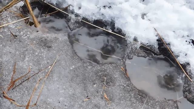 Засыпайте быстро под весеннюю капель, релакс, расслабление, медитация Relaxation, meditation video