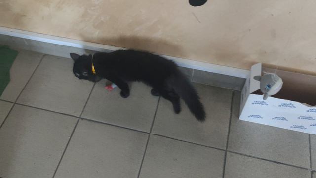 2024 сентябрь 19