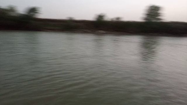 р. Кубань в окрестностях г. Армавира. Рыбалка с ночёвкой, 14.09.2024г.