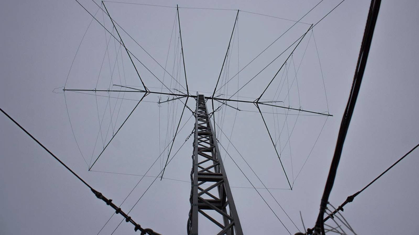 Антенны осенью