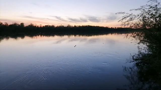 Расслабление под звуки природы. Река, пение соловья