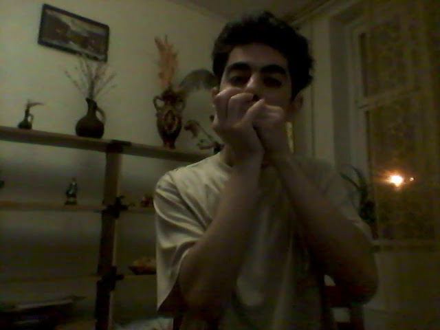 Tatar Folk Music on harmonica/ Татарская народная #stratocastro #harmonica #harp #губнаягармошка