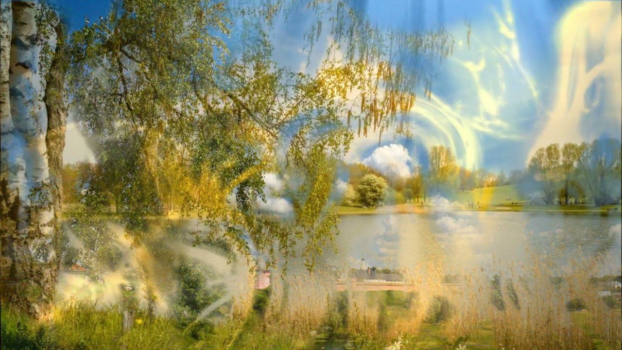 Край ты мой родной