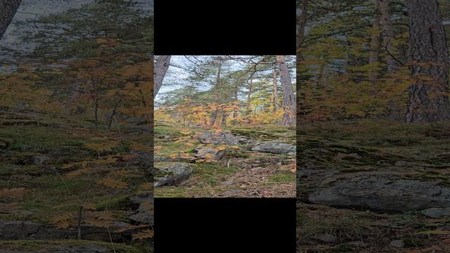 Карелия. Лахденпохья. Karelia. Lakhdenpokhya