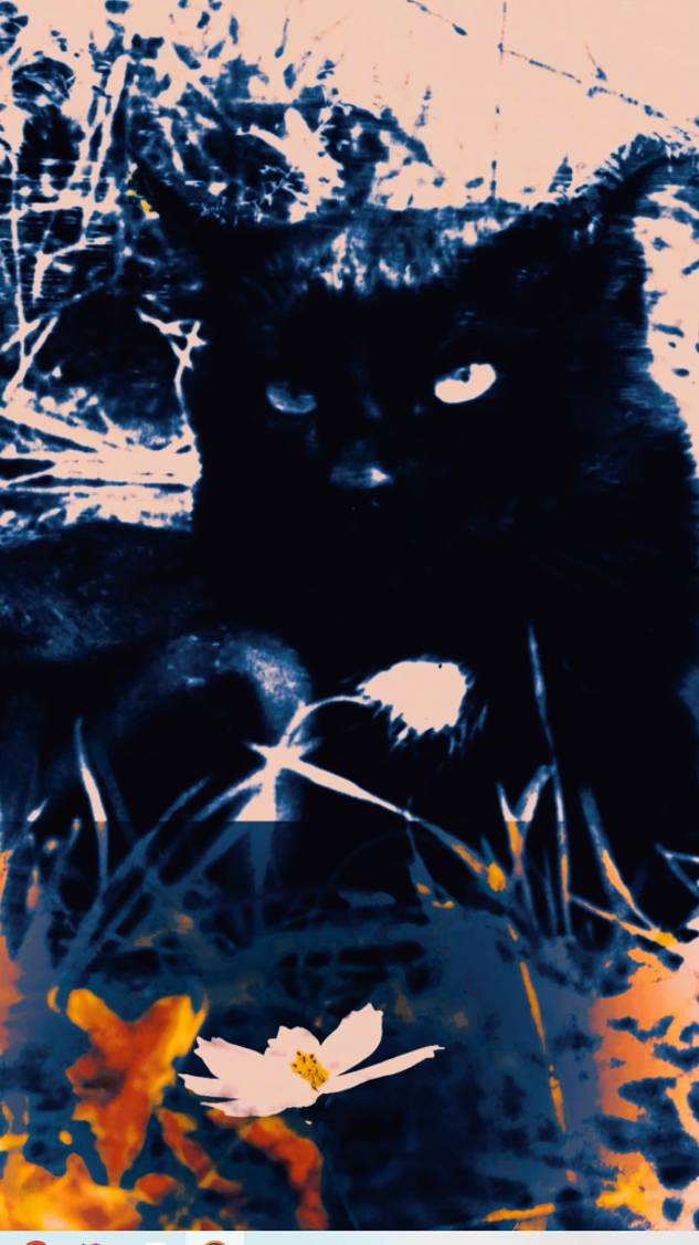 Кот Татоша и голоса птиц в Щелыково.