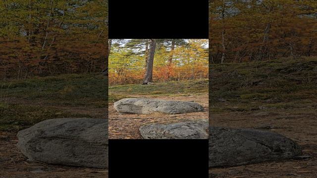 Карелия. Лахденпохья. Karelia. Lakhdenpokhya