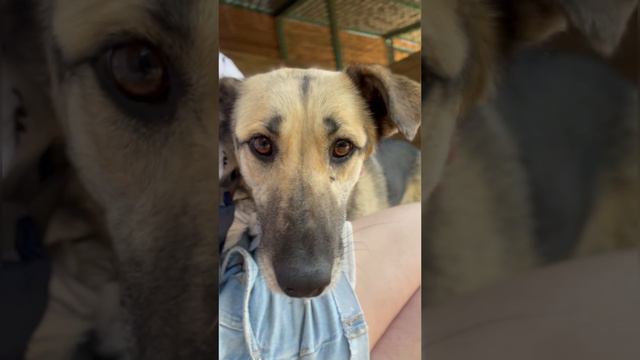 Нежная Валя ищет дом