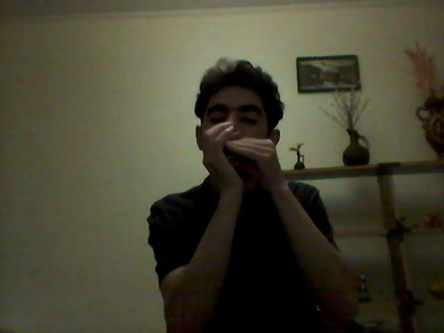 Китайская народная мелодия/姑苏行 #stratocastro #harmonica #harp #губнаягармошка