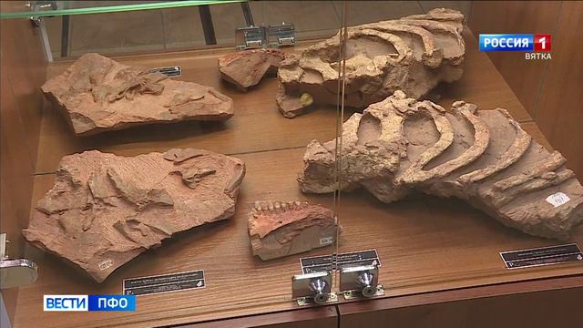 Выставка Не только динозавры