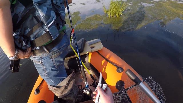 Товарищ сел на воблеры ).пришлось вырезать ).